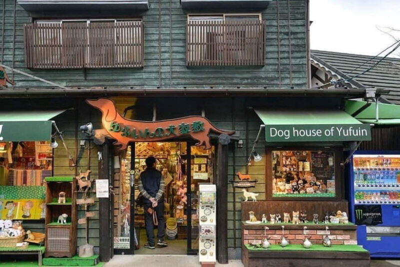 Yufuin: Onsen Wellness & Culinary Delights Guided Tour - Who Will Love This Tour?