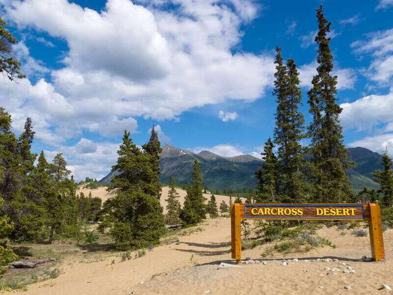 Yukon Escapade: Lakes, Wilderness, and Hidden Gems - An Authentic Look at the Yukon Escapade Experience