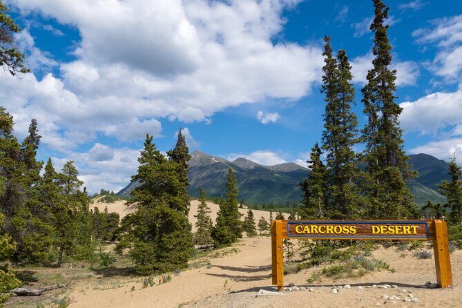 Yukon Escapade: Lakes, Wilderness, and Hidden Gems - Introduction: Experience the Wilderness with a Private Touch