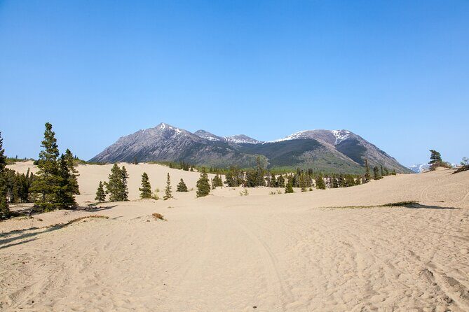Yukon Escapade: Lakes, Wilderness, and Hidden Gems - A Closer Look at the Itinerary