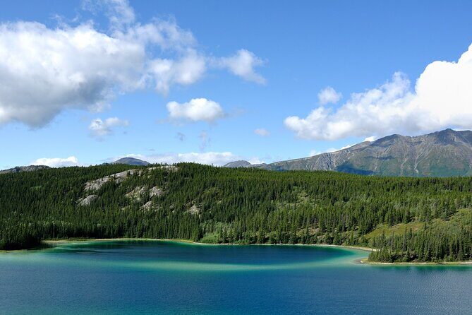 Yukon Escapade: Lakes, Wilderness, and Hidden Gems - The Sum Up: Who Should Consider This Tour?