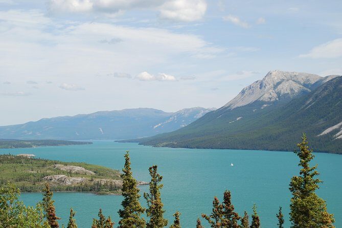 Yukon Extended Summit Drive Tour (From Skagway) - What Travelers Say: The Good and the Not-So-Good