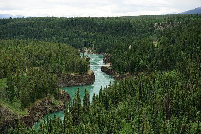 Yukon River Boat Tour Through Miles Canyon - Key Points