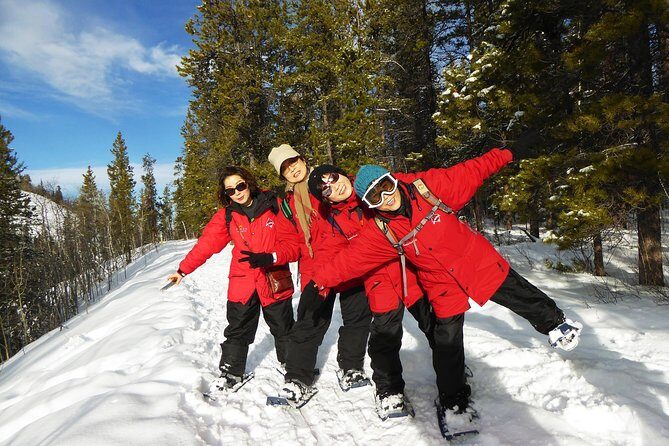 Yukon Snowshoeing Adventure | half day - Exploring the Yukon Snowshoeing Adventure: What You Can Expect
