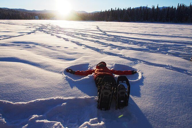 Yukon Snowshoeing Adventure | half day - Potential Drawbacks and Considerations