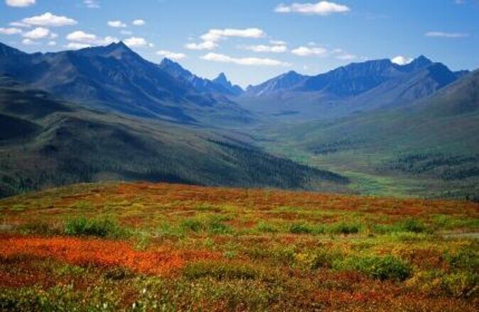 Yukon Suspension Bridge and Summit Tour - Yukon Suspension Bridge and Summit Tour: An Authentic Look at Skagway’s Natural Beauty
