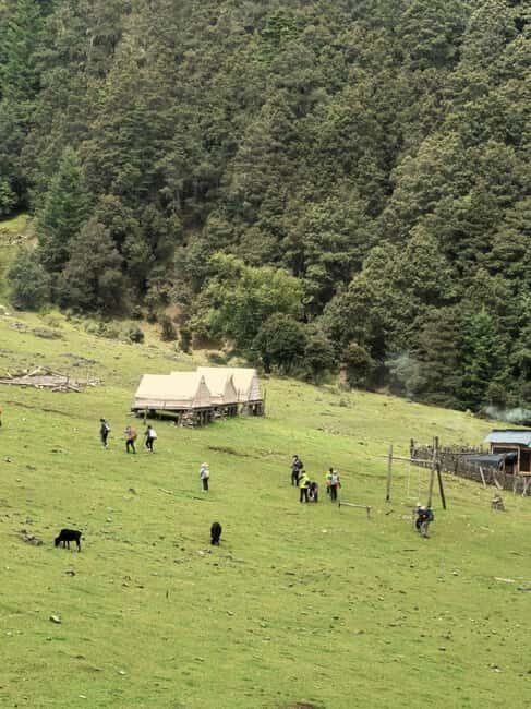 Yunnan: 2-Day Tour to Haba and Black Sea Lake - Key Points