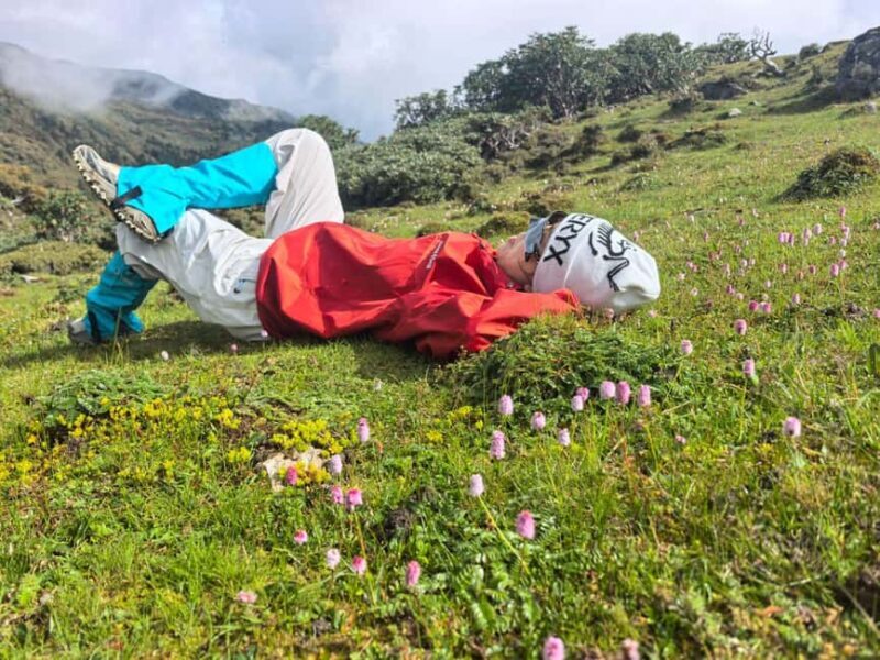 Yunnan: 2-Day Tour to Haba and Black Sea Lake - Authentic Feedback from Travelers