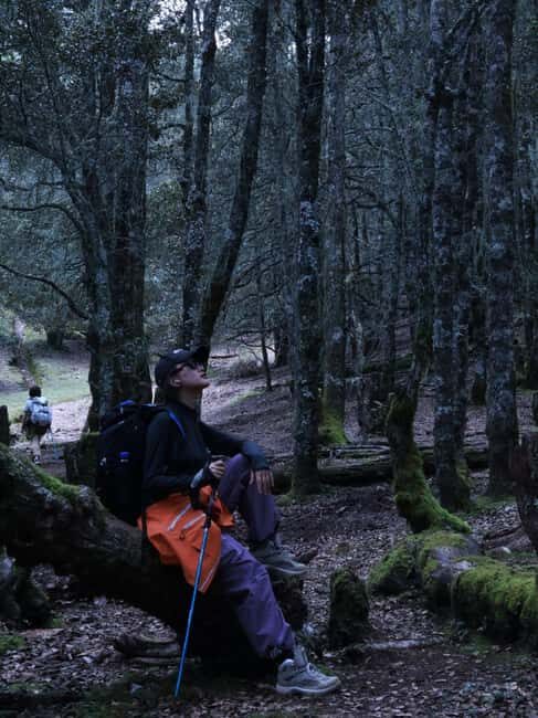 Yunnan: 3-Day Hiking Tour of Haba Snow Mountain - What We Love About This Tour