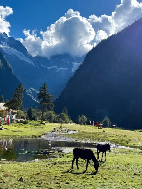 Yunnan: 4-Day Hiking Tour of Yubeng and Meili Snow Mountain - Who Will Love This Tour?