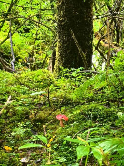 Yunnan: 5-Day Hiking Tour to Yubeng - Who Will Love This Tour?