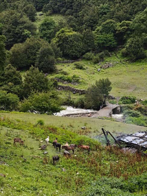 Yunnan: 5-Day Hiking Tour to Yubeng - FAQ