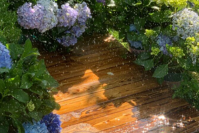 Yunnan Dali Erhai 3 Pagodas of Chongsheng Temple One Day Tour - Who Should Consider This Tour?