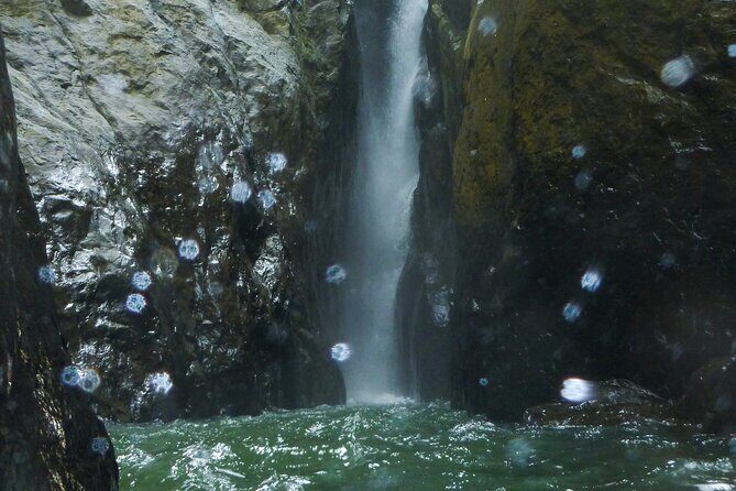 Yunque & Piñones Tour Hike Eat & Adventure with a Local; San Juan - FAQ