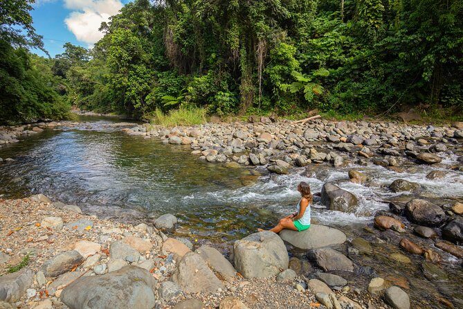 Yunque Rainforest River Rope Swing with Waterslide and Beach Tour - Lunch: Supporting Local Businesses