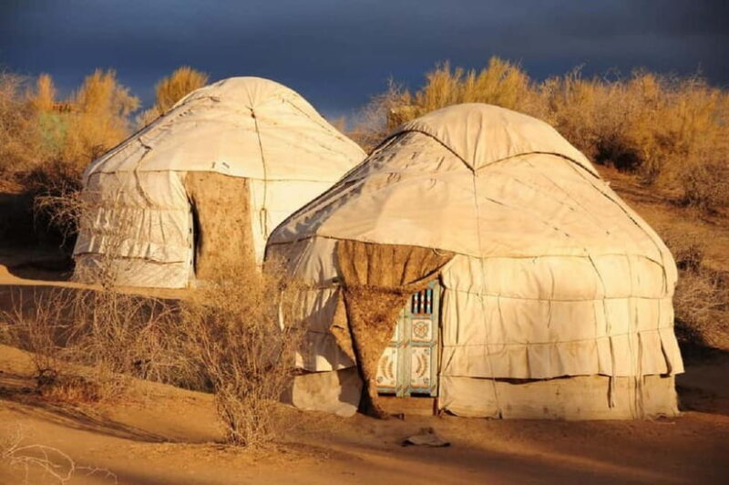 Yurt Camp Tour with Night from Bukhara - Authentic Yurt Camping Experience in Uzbekistan: A Balanced Look