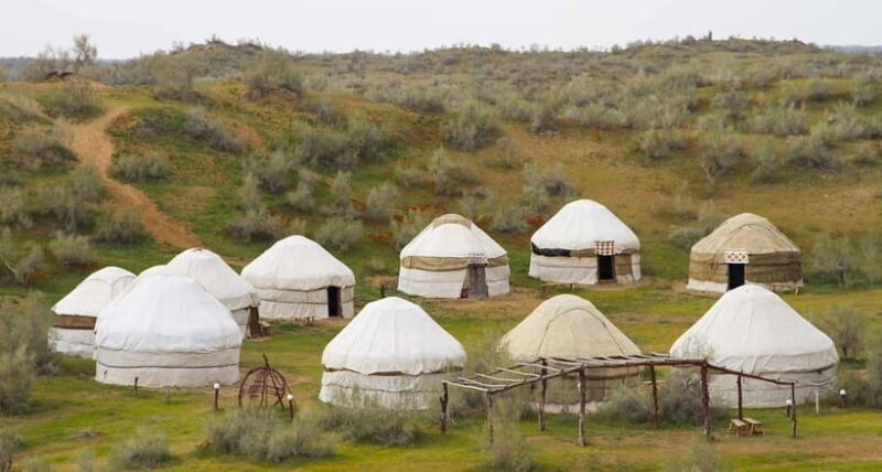 Yurt Camp Tour with Night from Bukhara - Key Points