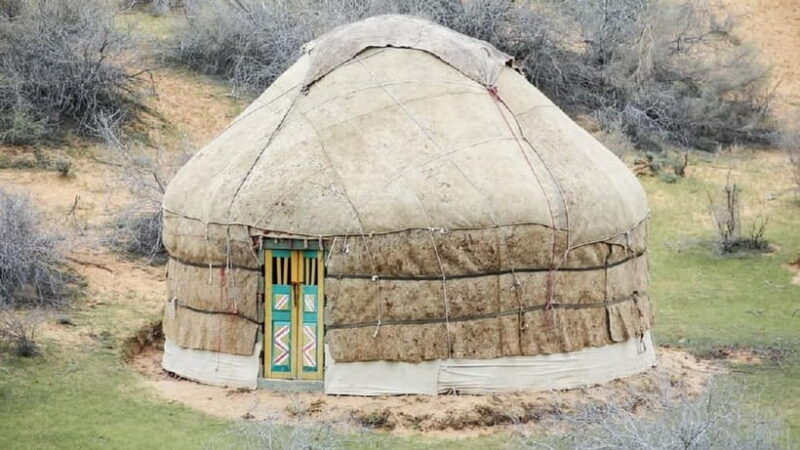 Yurt Camp Tour with Night from Bukhara - What Critics and Enthusiasts Say