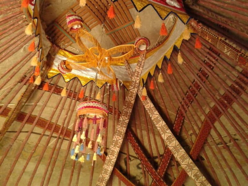 Yurt Camp Tour with Night from Bukhara - Who Will Love This Tour