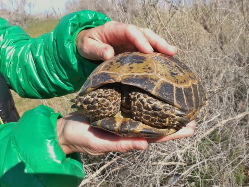 Yurt Camp Tour with Night from Bukhara - FAQs