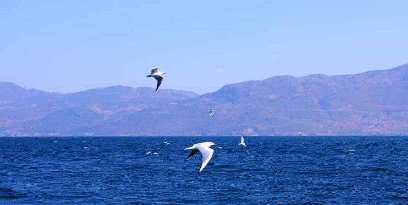 Yuxi, Yunnan: Fuxian Lake Sailing Base  60-Minute Sail - The Experience in Detail