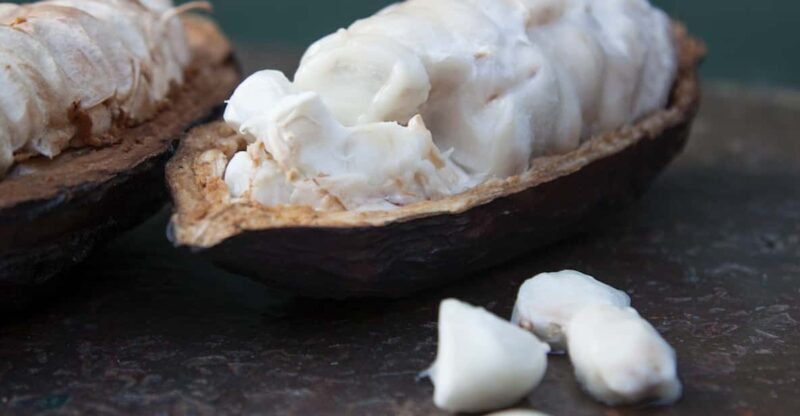 Zaandijk: Chocolate making demonstration & tasting - Analyzing the Value: Is It Worth It?