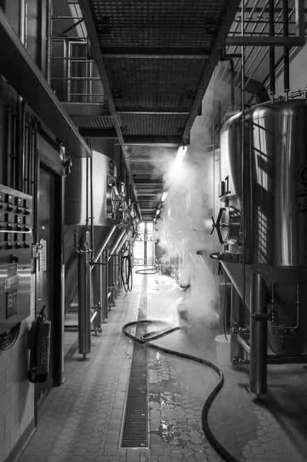 Zaanse Schans: Beer Tasting Experience at Brewery HOOP - The Sum Up: A Genuine Beer Adventure for Curious Travelers