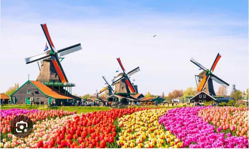 Zaanse Schans - Cheesefactory -Volendam, Private Tour. - Key Points