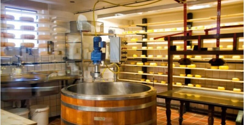 Zaanse Schans - Cheesefactory -Volendam, Private Tour. - Who’s This Tour Best For?