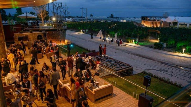 Zacatecas: Campo Real Vinícola Tour - An In-Depth Look at the Zacatecas Campo Real Vinícola Tour