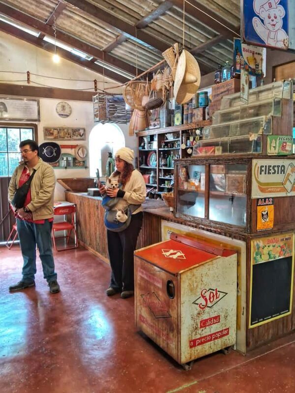 Zacatlán Guided Walking Tour of the Center - Who Will Love This Tour?