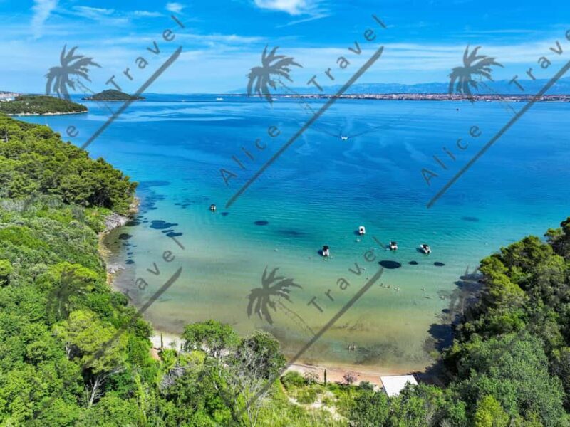Zadar: 3 Island Speedboat Tour with Gin & Tonic and Wine - Pricing and Value