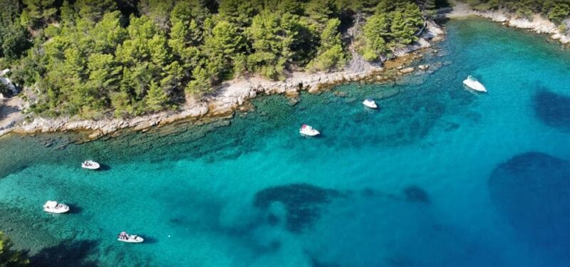 Zadar: Boat Tour to the Ugljan, Preko, and Oljak Islands - Final Thoughts