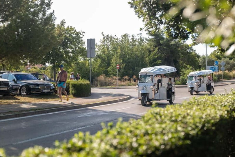 Zadar: City and Wine panoramic tour - The Scenic Ride: First Impressions and City Views