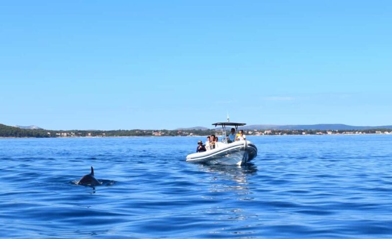 Zadar: Dugi Otok Island - 2x Snorkeling & Sandy Beach - 7 hr - An In-Depth Look at the Dugi Otok Tour