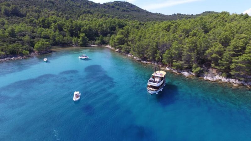 Zadar: Fun Swim and Snorkel Short Day Trip - Final Thoughts