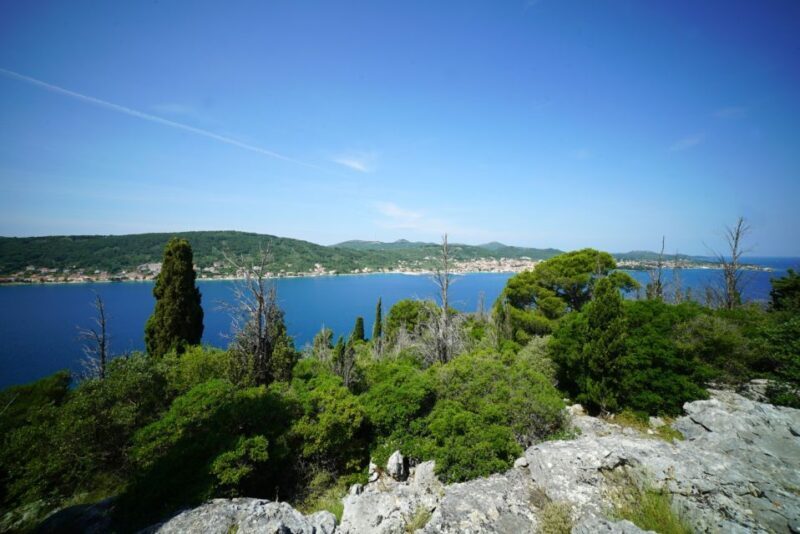 Zadar: Guided Tour to Ugljan, Osljak, & Galevac by Speedboat - Authenticity and Local Flavor