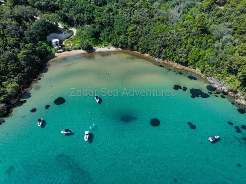 Zadar: Island Hopping Tour Swim and Snorkel with Drinks - Authentic Experiences and Real Traveler Insights