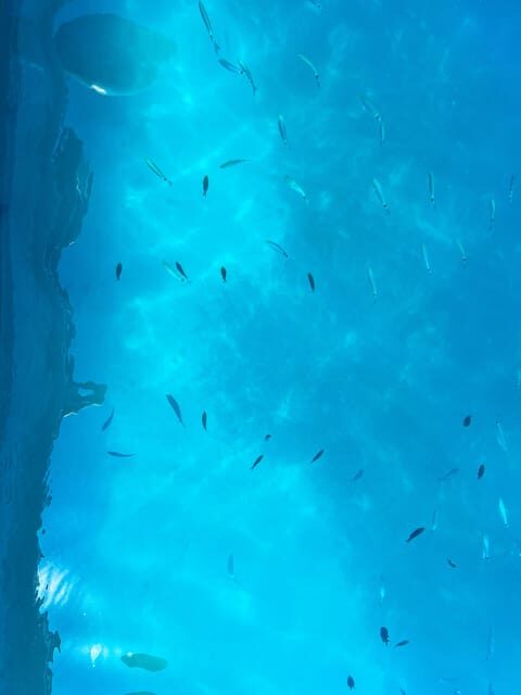 Zadar: Kornati National Park & cliffs of Telascica - FAQs