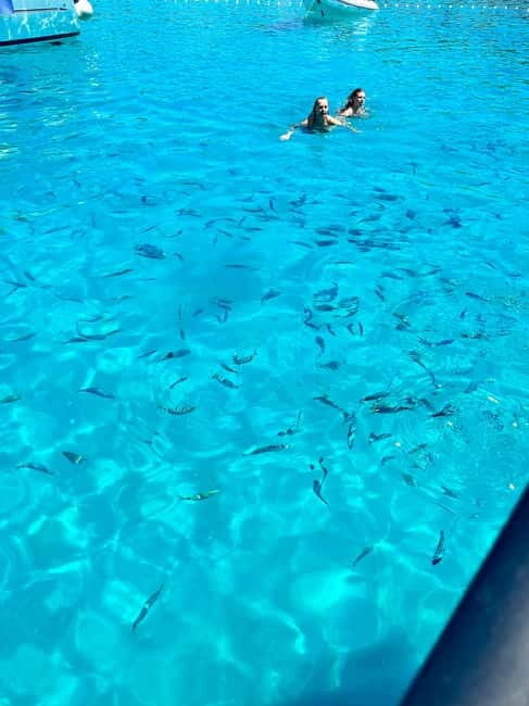 Zadar: Luxury speedboat trip: 3 islands, vine & fruit - Who Should Consider This Trip?