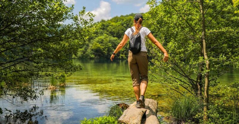 Zadar: Plitvice Lakes Full-Day Guided Tour with a Boat Ride - Why Choose This Tour?