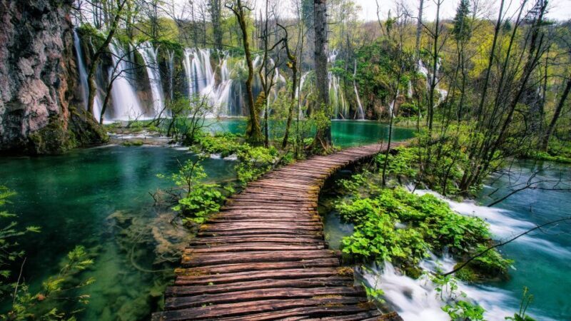 Zadar: Plitvice Lakes Guided Day Tour with Tickets - The Caveats
