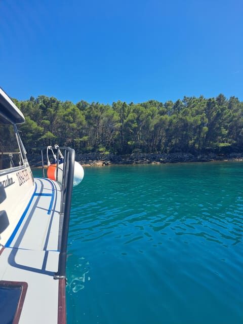 Zadar: Private Tour to Ugljan, Osljak and Galevac - half day - An Ideal Introduction to Zadar’s Island Archipelago