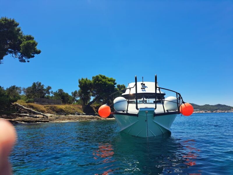 Zadar: Private Tour to Ugljan, Osljak and Galevac - half day - Practical Tips for Travelers