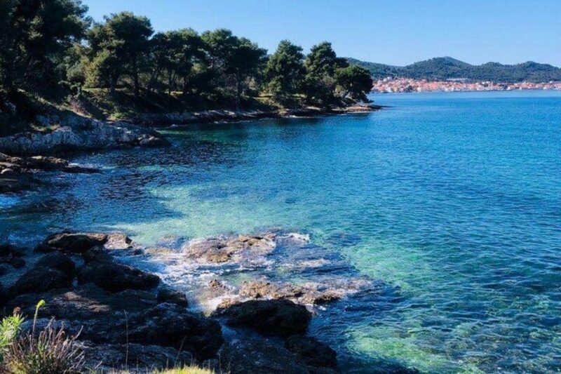 Zadar: Speedboat Tour to 3 Islands with Refreshing Drinks - Authentic Feedback and Highlights