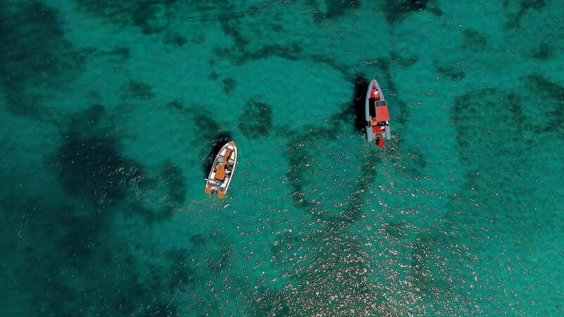 Zadar: Speedboat Tour with Snorkeling & Fruit - An In-Depth Look at the Speedboat Experience