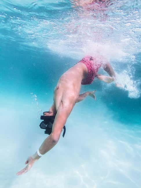 Zadar: Speedboat Tour with Snorkeling & Fruit - Who Should Book This Tour?