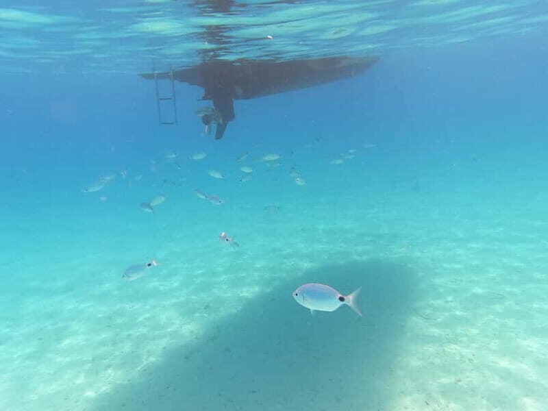 Zadar: Ugljan and Preko Islands SpeedBoat Tour with Drinks - FAQs About the Ugljan and Preko Islands SpeedBoat Tour