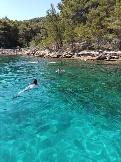 Zadar:Ugljan, Frnaa,Galevac &Oljak free beer & anchovies - FAQ: Your Questions Answered