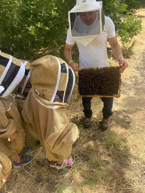 Zafferana Etnea:Honey extraction workshop and honey tasting - Who Will Love This Experience?